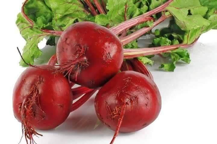 บีทรูท คิมสัน คิงส์ Beetroot 20 เมล็ด พร้อมวิธีปลูก พืชผักสวนครัว ช่วย ...