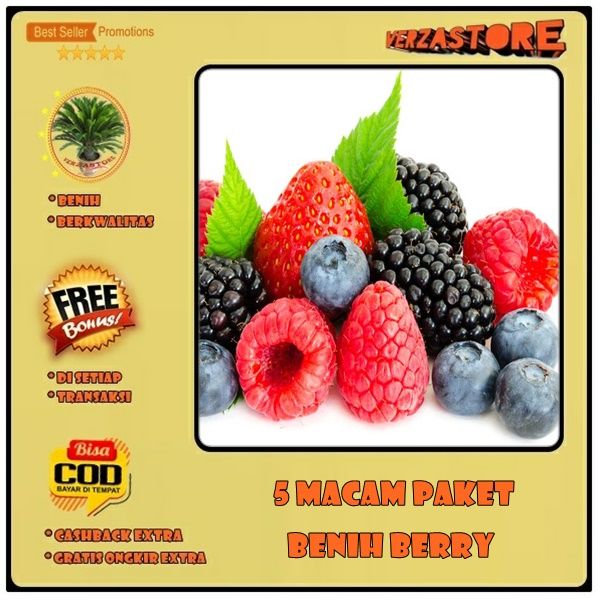 Biji Benih Paket 5 Macam Buah-Buahan Gojiberry Blueberry Raspberry ...