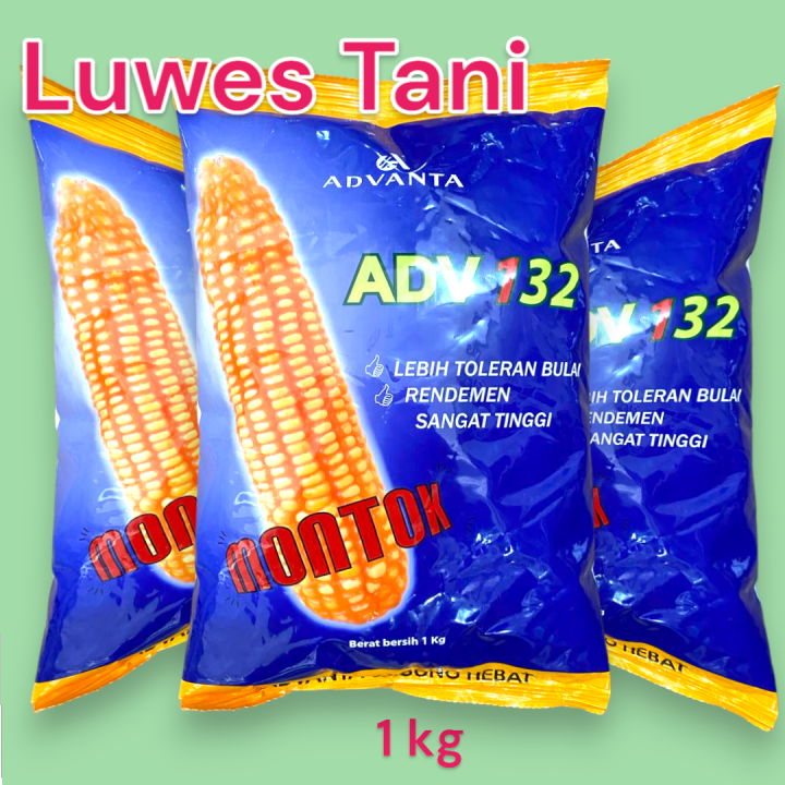 ADV 132 montok 1kg benih jagung advanta 132 | Lazada Indonesia