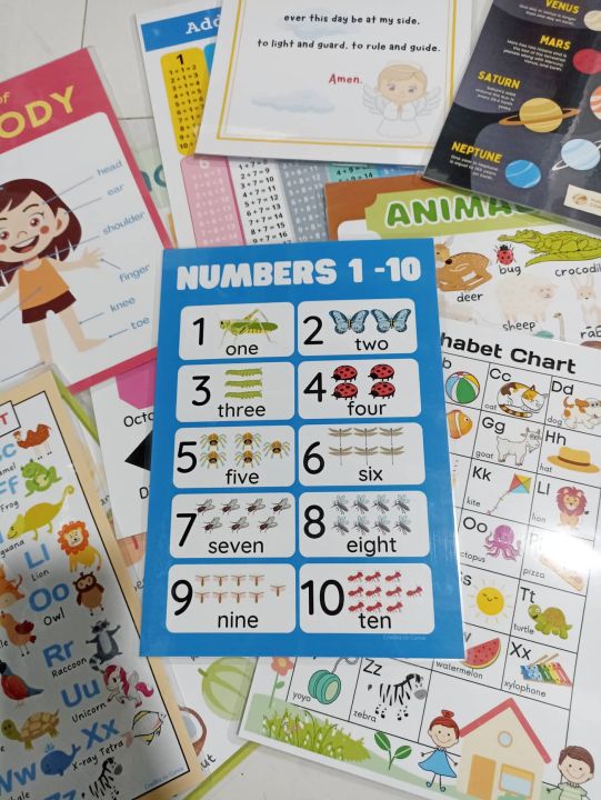 A4 Laminated Charts Wall Chart for Kids | Lazada PH