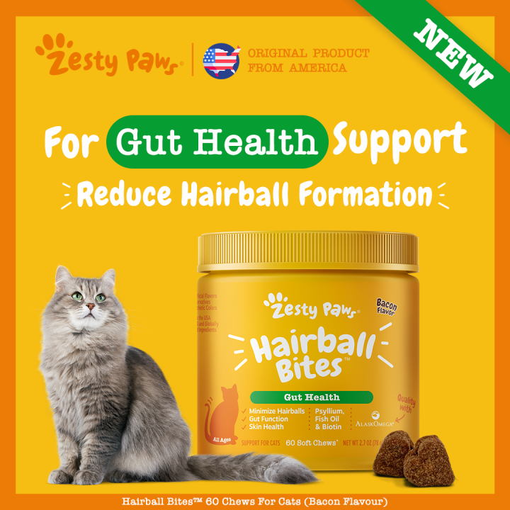 Zesty Paws Hairball Bites for Cats Gut Health [Bacon Flavor] (60 Soft ...
