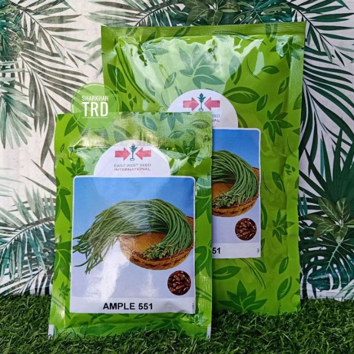 Paket 100g-500g AMPLE 551 Biji Benih Kacang Panjang Cap Panah Merah F1 ...