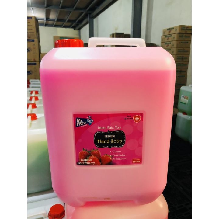 Nước rửa tay khử mùi Mr.Fresh 20L Hương Dâu | Lazada.vn
