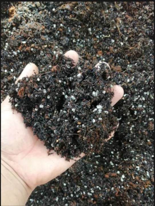 Soiless Potting Mix , Composition Of Pure Vermicast, CRH, Cocopeat And ...