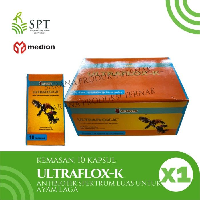 ULTRAFLOX K 10 KAPSUL ANTIBIOTIK AYAM LAGA WINNER | Lazada Indonesia