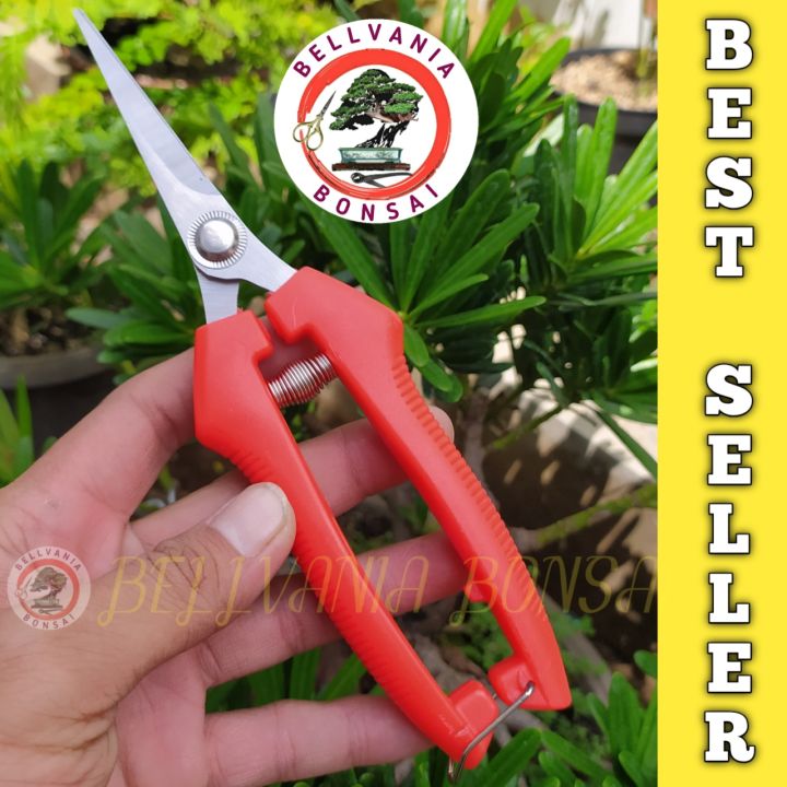 Gunting Dahan Ranting Daun Dan Bunga Mata Pisau Ujung Lancip | Lazada ...