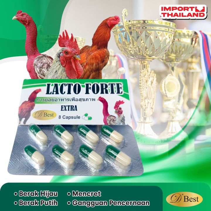OBAT AYAM LACTO FORTE BEST SAKIT PENCERNAAN KURUS BERAK KAPUR HIJAU IJO ...