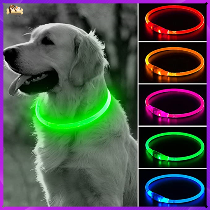 LED Dog Collar USB Rechargeable Lighting Collar Glowing Luminous Night ...