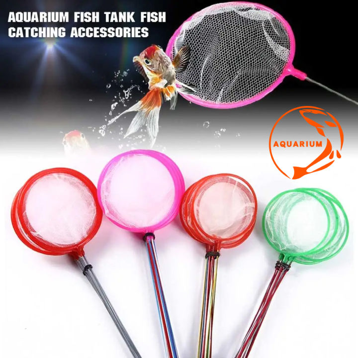 Fish Tank Shallow Mesh Net Artemia Sieves Long Handle Super Dense Mesh ...