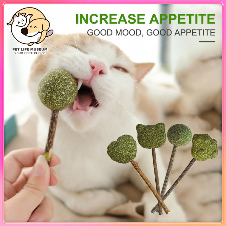 Cat Catnip Lollipop Kitten Catnip Snacks Natural Mint Cat Play Toys ...