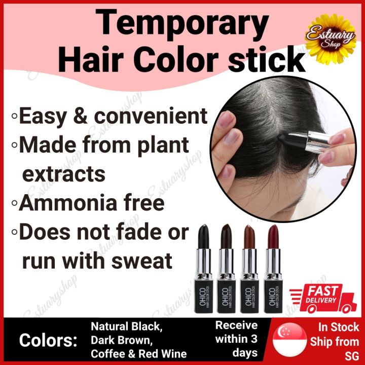 [SG Seller] Temporary Hair Color Stick 4gm Natural Plant Extracts ...