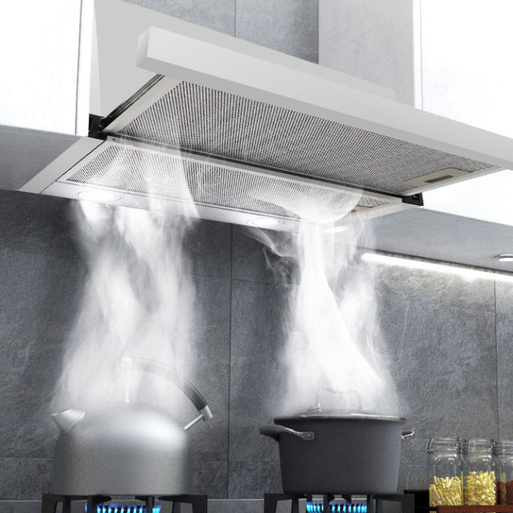 Internal circulation smokeless pipe Stainless Steel Dual Motor 900mm ...