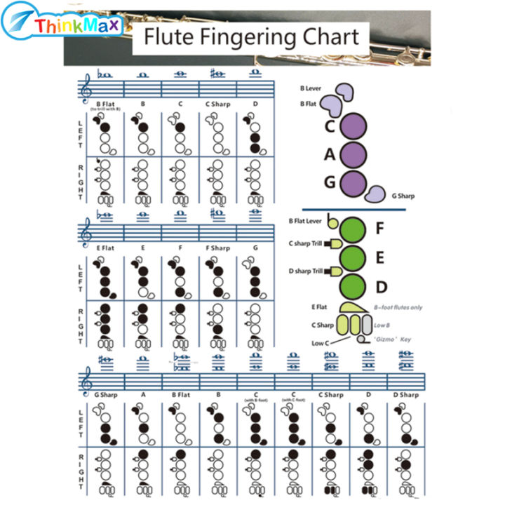 Flute Chord Chart Educational Chord Poster Finger Placement Reference ...
