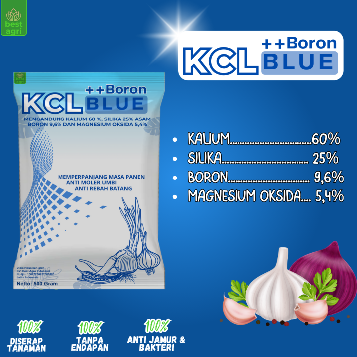 KCL Blue 1 Kg Pupuk KCL Silika Plus Boron Anti Moler dan Anti Rebah ...
