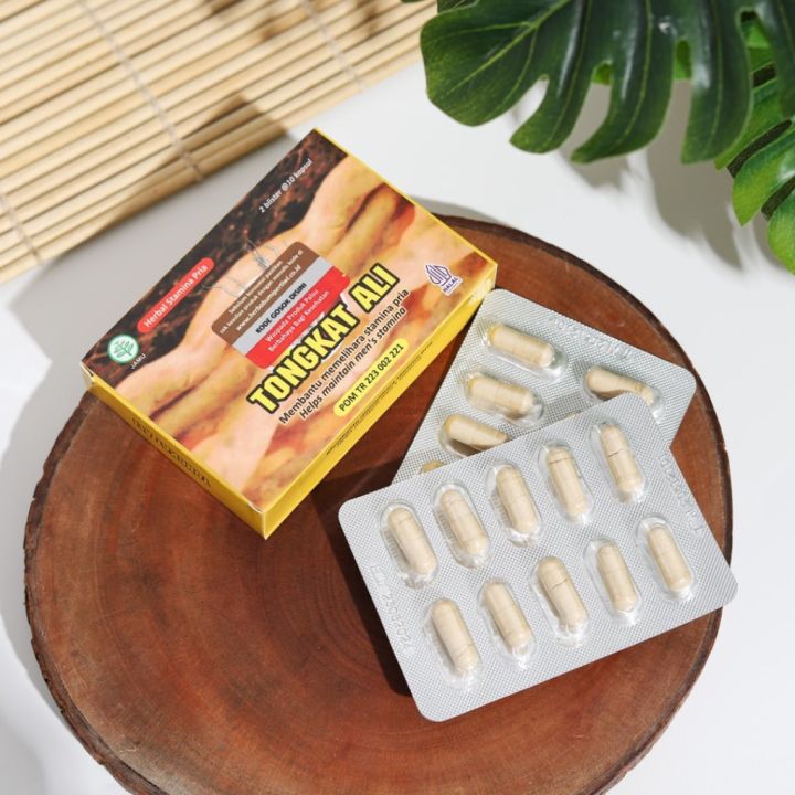 Kapsul Tongkat Ali Toga Nusantara TONGLI TN57 Isi 20 Kapsul | Lazada ...