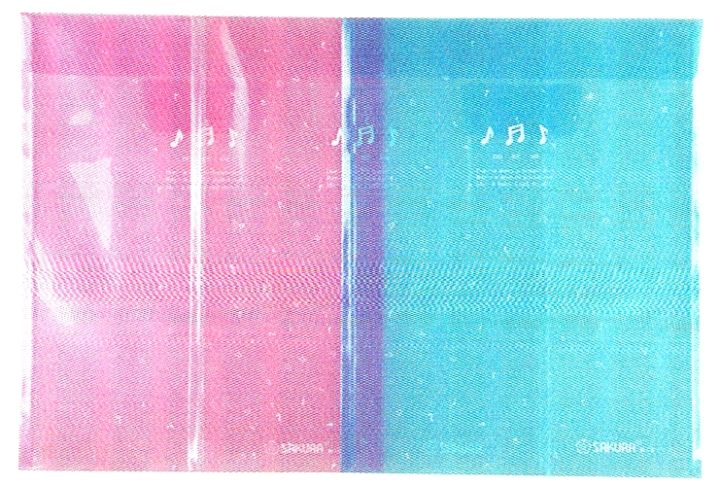 SAKURA Clear Presentation Envelope with Tuck Flap Closure, Vertical ...