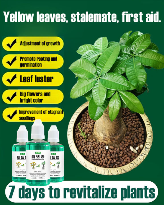 Universal Resurrection Solution Plant Nutrient Solution for Half Dead ...