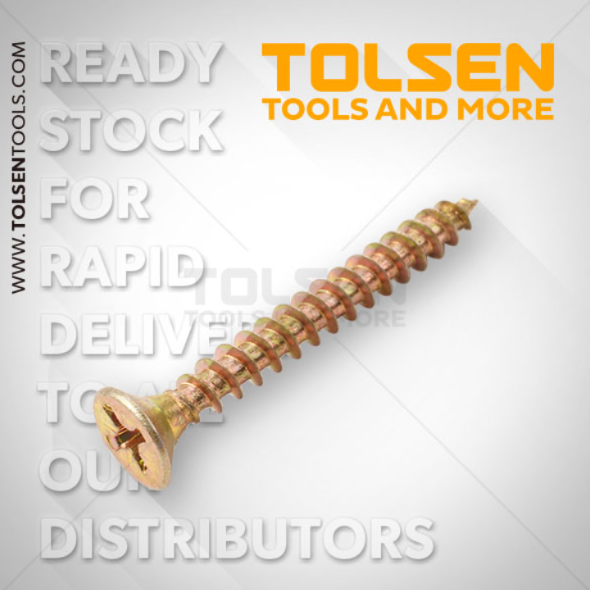 Tolsen Tools , CSK STS Zinc Screw - 54066-87 | Lazada Singapore