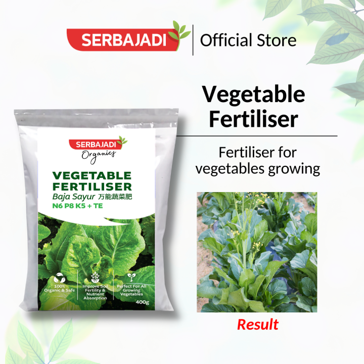 Serbajadi Pataba para sa Gulay | Organikong Pataba | N6 P8 K5 | 400g ...