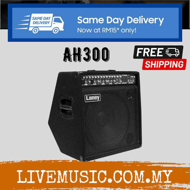 Laney AH300 Audiohub Combo 300 Watt Multi-Instrument Amplifier (Guitar ...