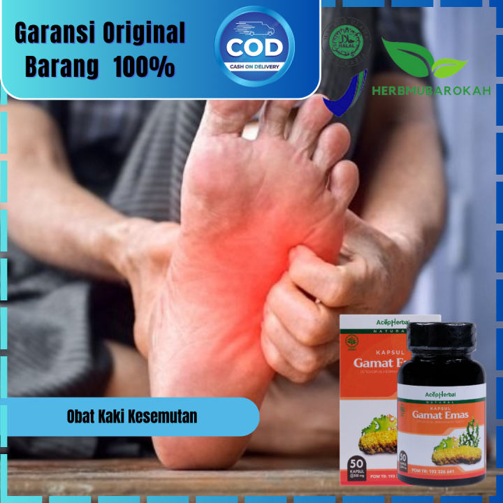 Kapsul Gamat Emas/Obat Kaki Lemas Gemeteran/Kaki Pegal/Kaki Mati Rasa ...