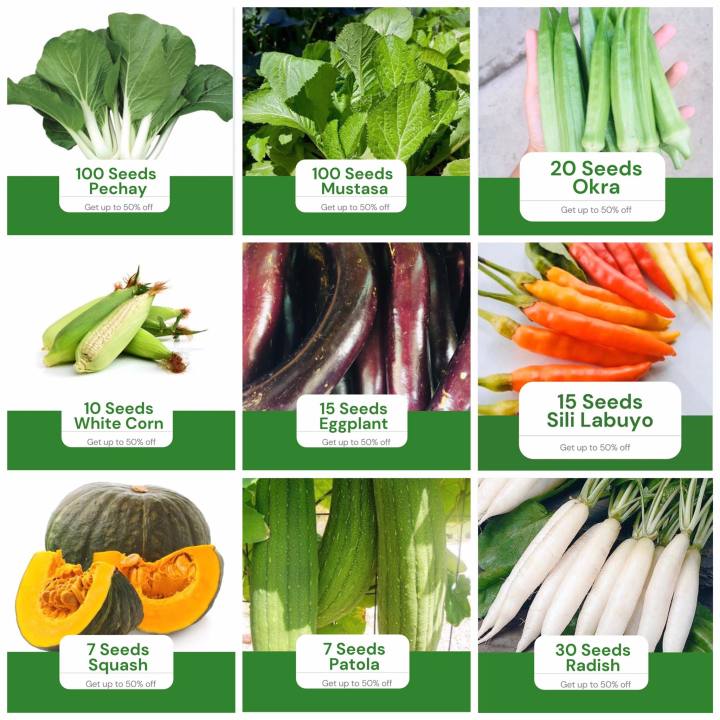All in 9 in 1 Pack Seeds Vegetable Outdoor Garden Plant Binhi Pantanim ...