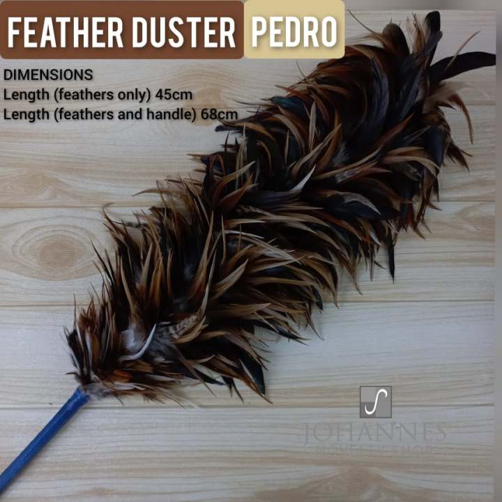 Feather Duster | Lazada PH