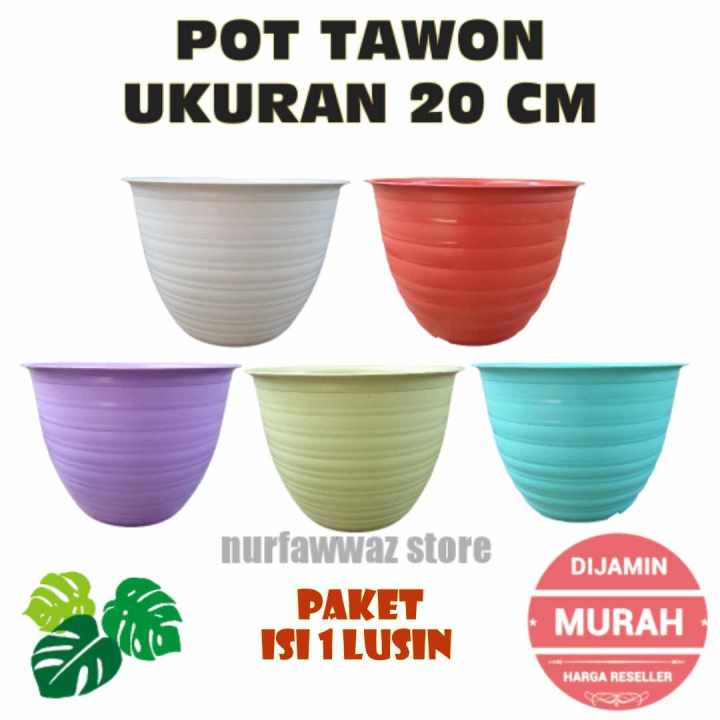 pot tawon putih ukuran 20cm paket isi 1lusin dan 6pcs murah / pot tawon ...