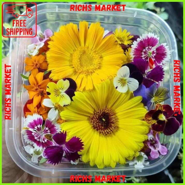 Mix Edible Flower Fresh Terbaik Dikelasnya | Lazada Indonesia