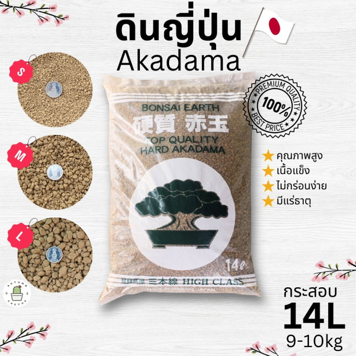 ดินญี่ปุ่น อะคาดามะ AKADAMA SOIL สำหรับกระบองเพชร ไม้อวบน้ำ บอนไซ ...