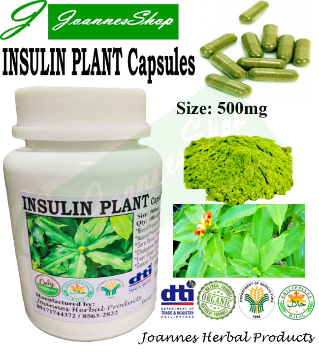 INSULIN PLANT CAPSULES 500MG | Lazada PH