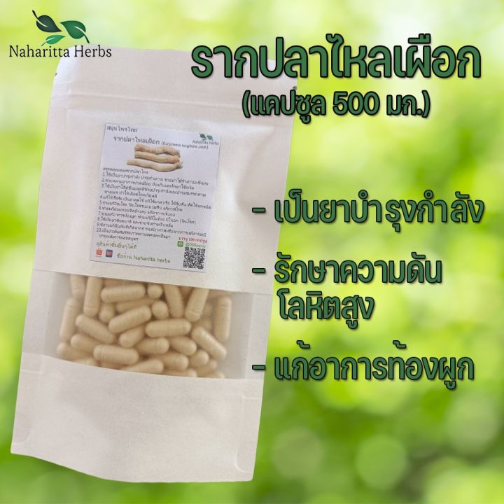 Tonkat Ali รากปลาไหล ขนาด 50 / 100 แคป ( 500 มก.) สมุนไพรแท้ 100% ไม่ ...