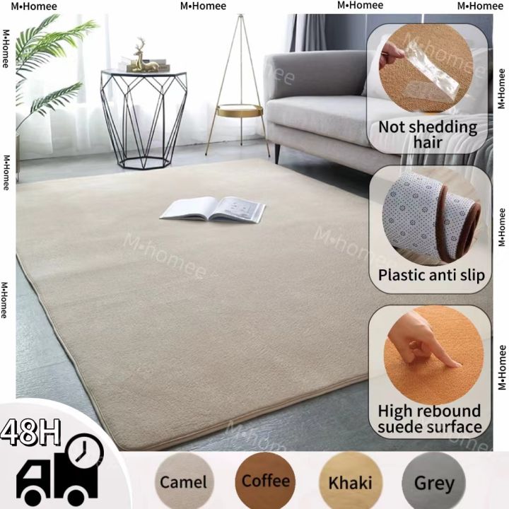 Carpet Living Room furry carpet Soft Solid Color Nordic Coral Velvet ...