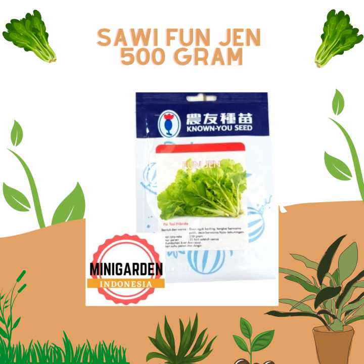 SAWI FUN JEN 500 GRAM PACK BESAR benih biji bibit sawi hijau keriting ...