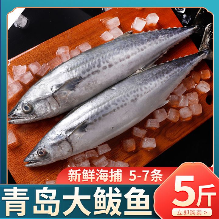 5 kg of Spanish mackerel, fresh mackerel, fresh mackerel, whole frozen ...