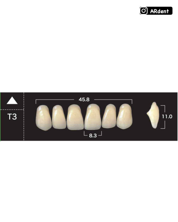 New Ace Anterior Acrylic Teeth Resin T3 x 2 pieces | Lazada PH
