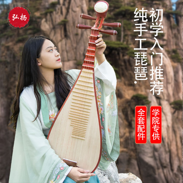 Pipa Musical Instrument Rosewood Mahogany Special Pipa for Adult ...