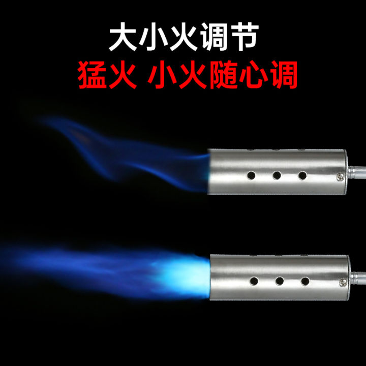 Portable spray gun with pig hair burning torch head, gas-reversible ...