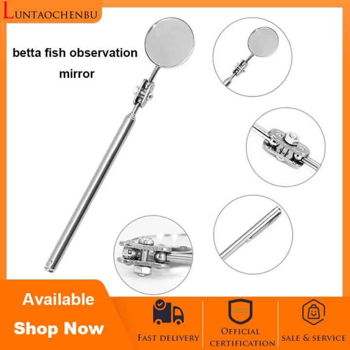 1Pcs Aquarium fish tank betta fish observation mirror Universal folding ...