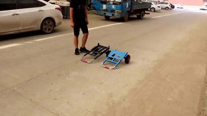 LZD Folding Trolley Hand Buggy Pucker Luggage Barrow Truck King ...