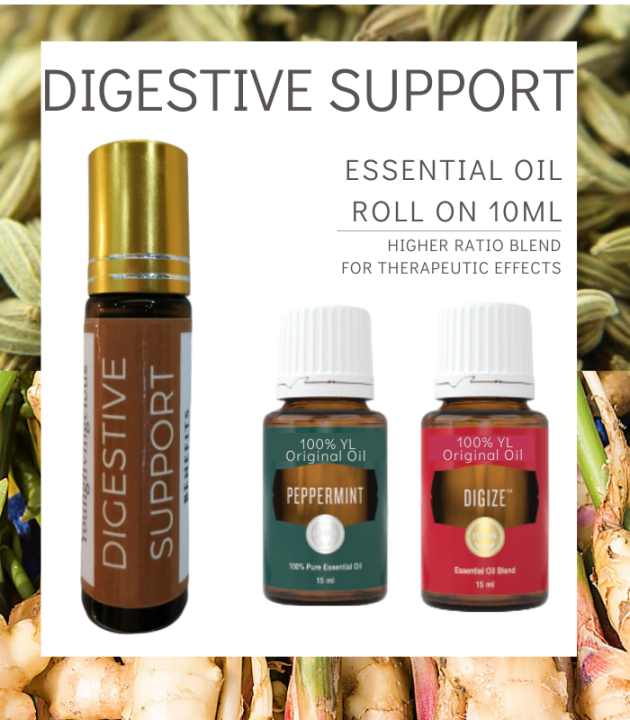Digestive Support YL Essential Oil Roll On | Lazada
