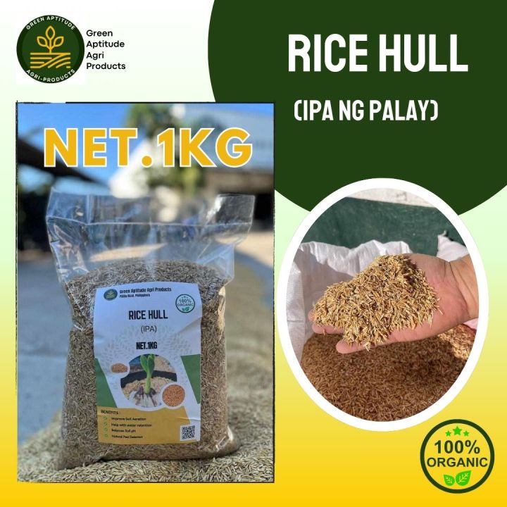 Fresh rice hull for any kind of plants (1KG) | Lazada PH