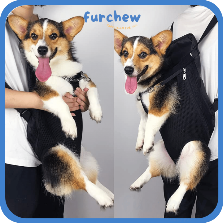 [SG] Pet Carrier Mesh Breathable Backpack - Front and Back Chest ...