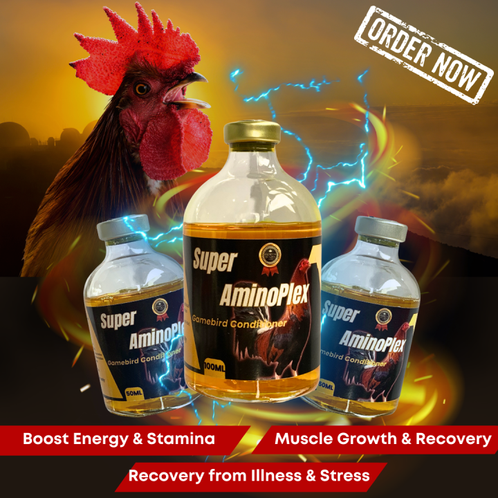 SUPER AMINOPLEX ( Bcomplex + Amino Acid) Pangkondisyon para sa manok ...