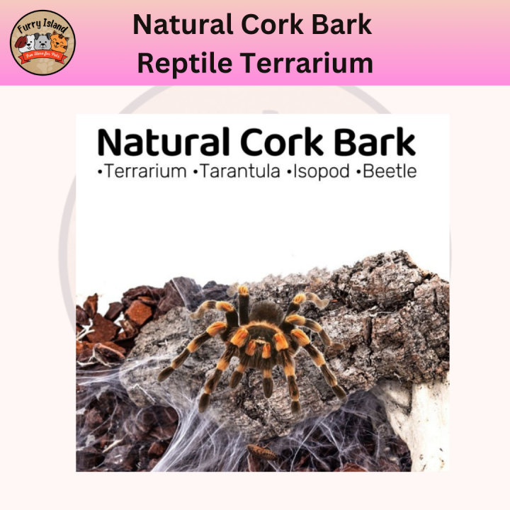 Natural Cork Bark Reptile Terrarium Cork Bark Hiding Cave Tarantula ...