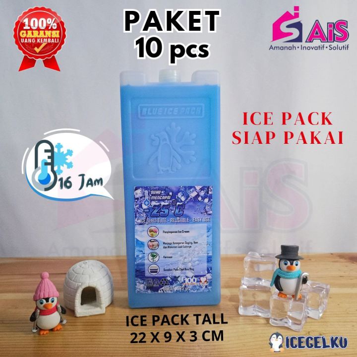 10 PCS ICE PACK KOTAK TALL ICE PACK BLUE PENGGANTI DRY ICE PENGGANTI ES ...