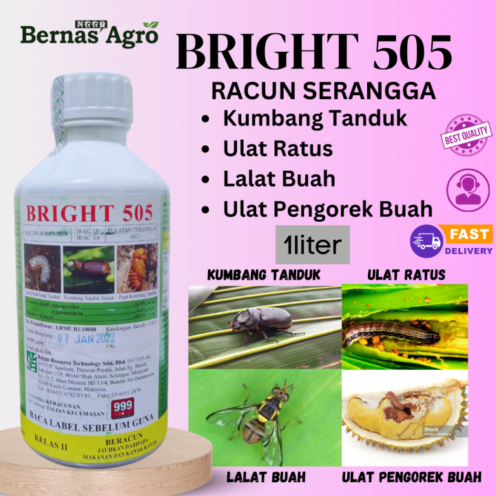 Bright 505 Protocol 505 Racun Serangga Insecticide Nurelle 505 Kayak ...