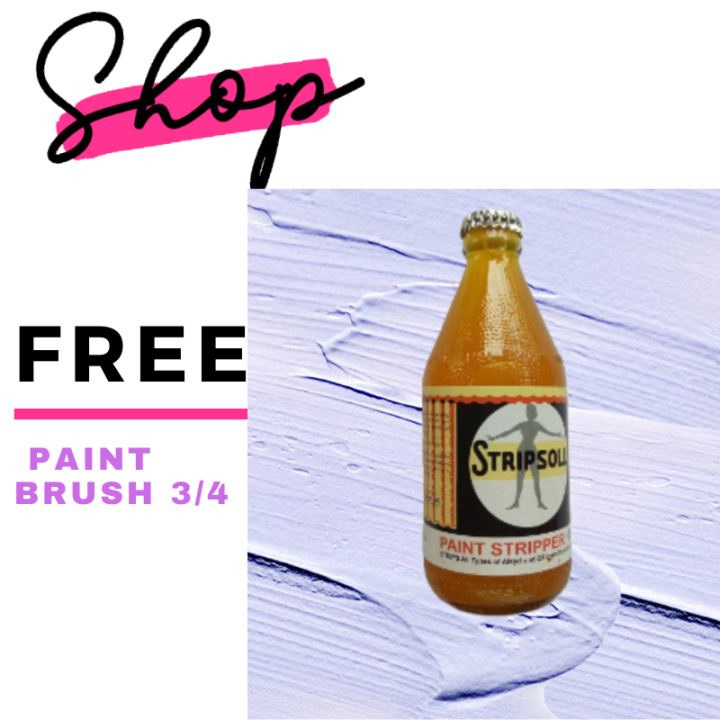 STRIPSOL PAINT STRIPPER/REMOVER (350 CC) | Lazada PH