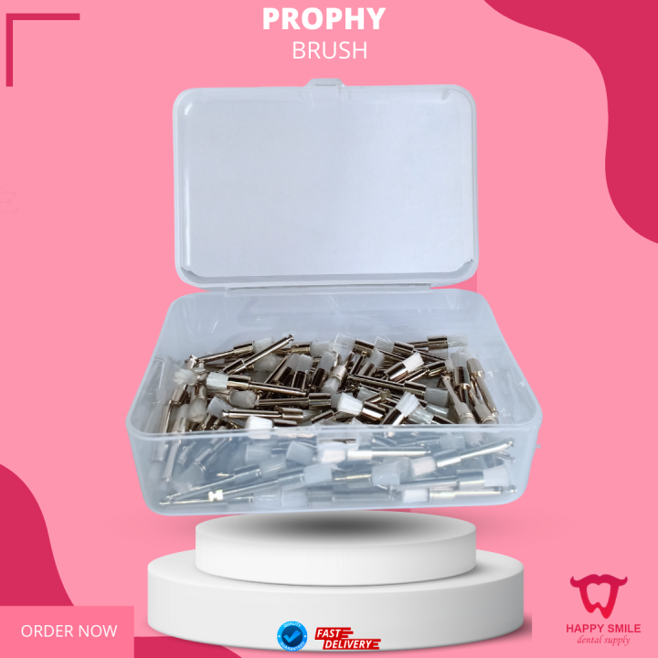 Prophy Brush | Lazada PH