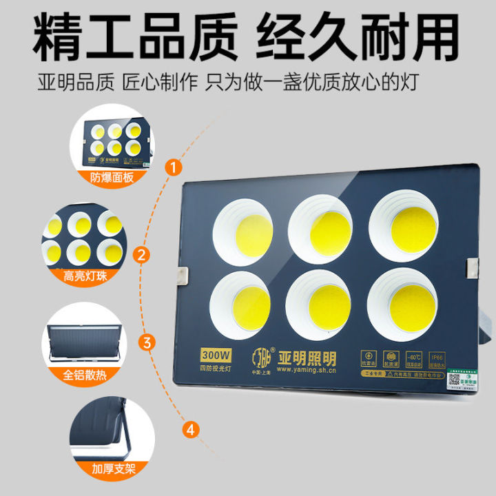 Yaming Low Voltage LED Hit Light 12V24V48V Outdoor Waterproof AC DC 36V ...